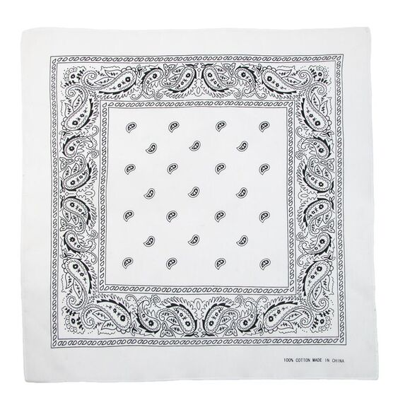 Ctm | Accessories | Ctm Individually Folded Packaged Paisley Print ...